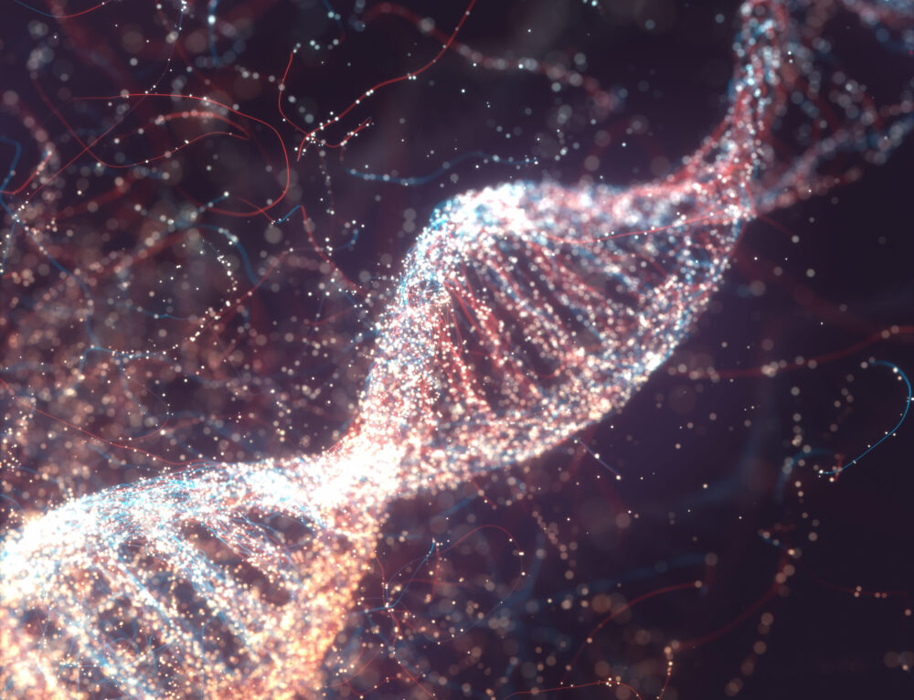 Owner of Crop Bistro Marcelo Fadul Neves Indicted on Aggravated Theft ...